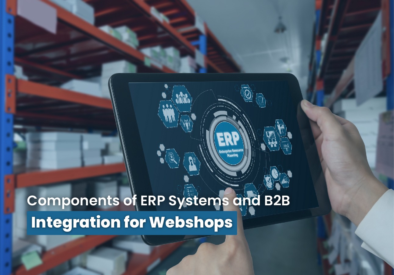 Components of ERP Systems and B2B Integration for Webshops